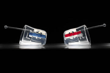 Earasers Earplugs for Musicians and Concertgoers